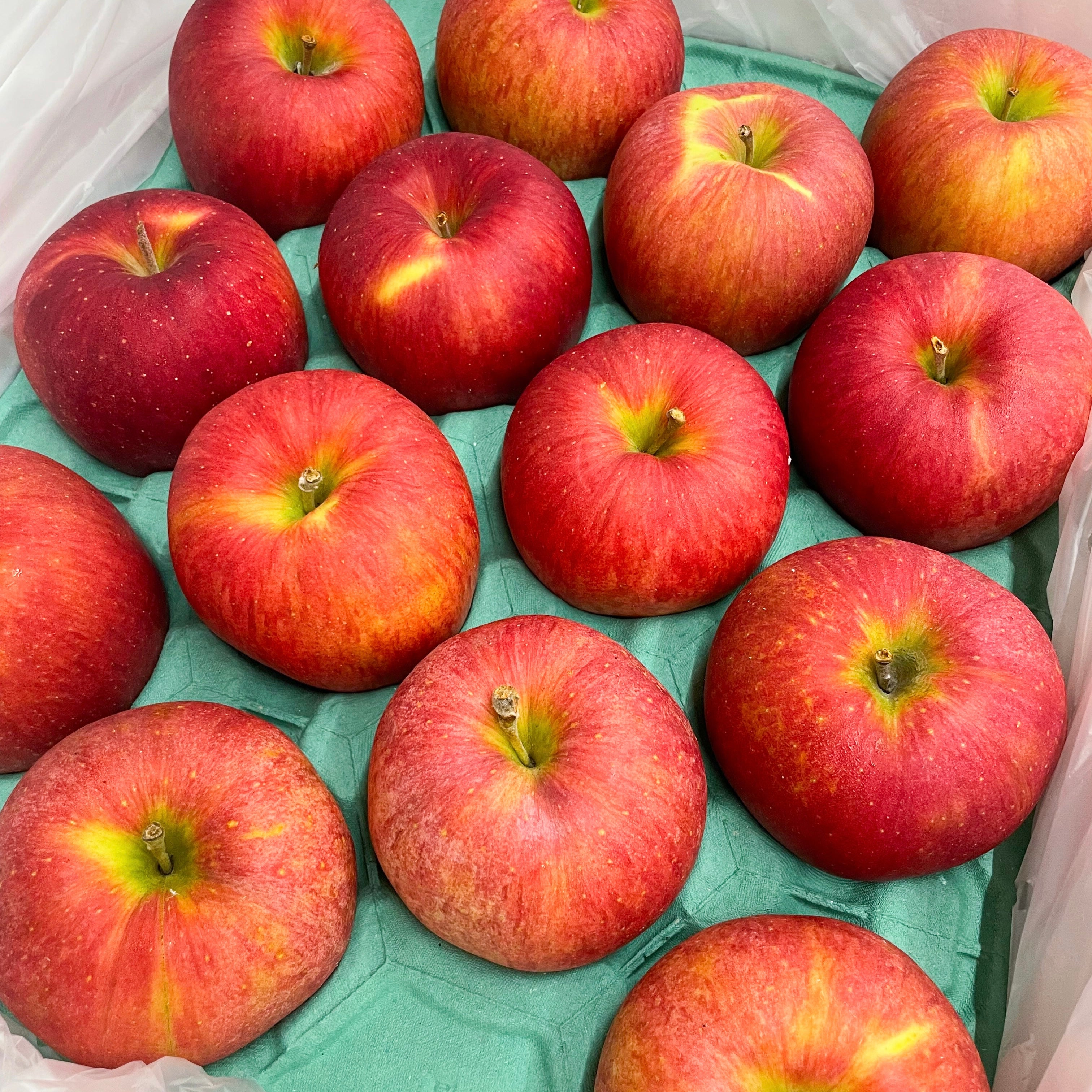 Apples – Fruit Warehouse PH