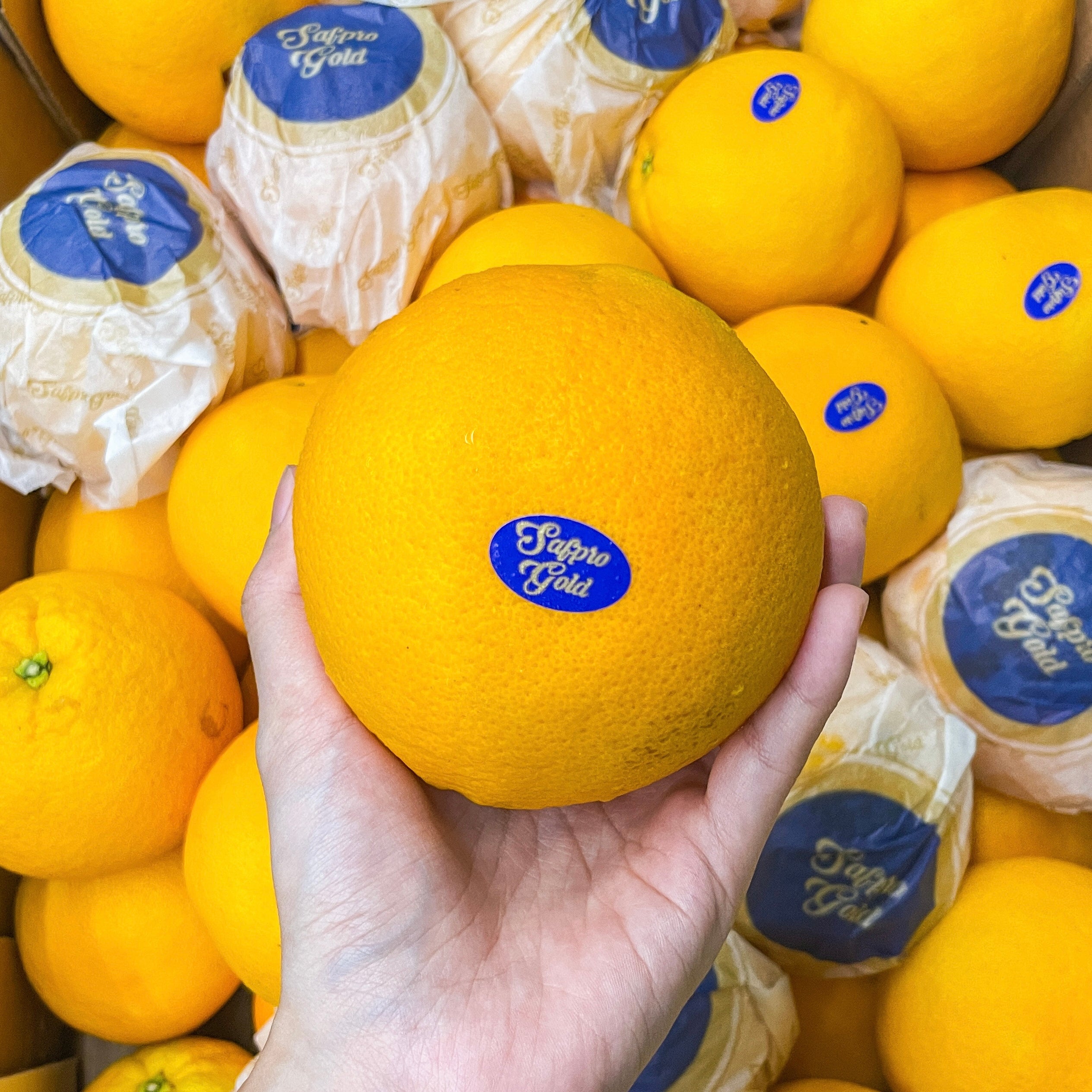 Citrus – Fruit Warehouse PH