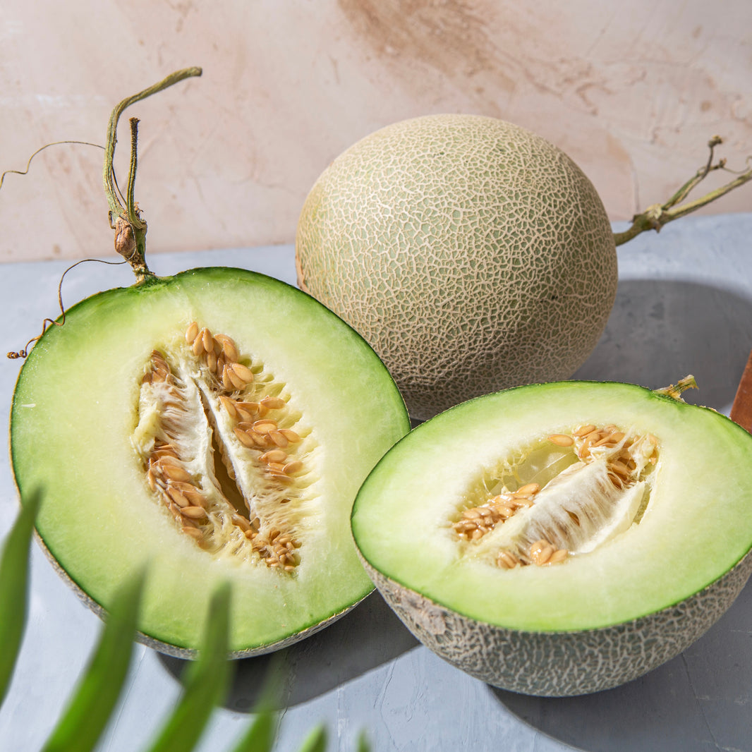 Melons – Fruit Warehouse PH